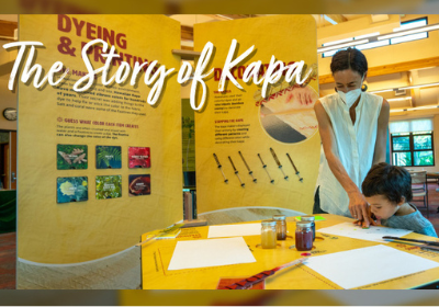 KAPA Display by INPEACE | Windward Mall