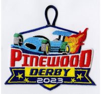 Cub Scout Pack 229 Pinewood Derby Car Races | Windward Mall