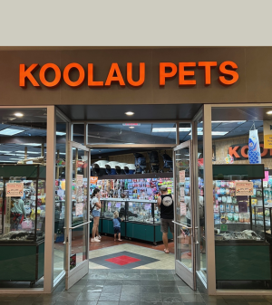 Koolau Pets 50th Anniversary Salebration | Windward Mall